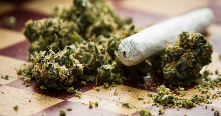 La Weed californienne a-t-elle un problème de pesticides ? - Newsweed