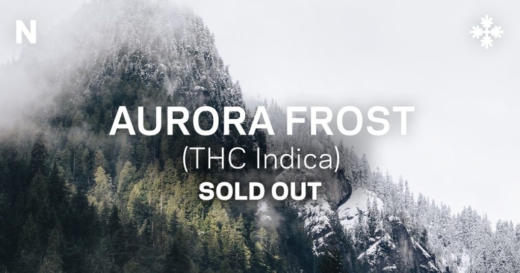 Aurora Frost, du kief médical à 35% de THC - Newsweed