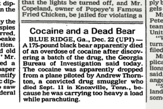 Cocaïne Bear : L'histoire vraie d'un ours accro à la cocaïne - Newsweed