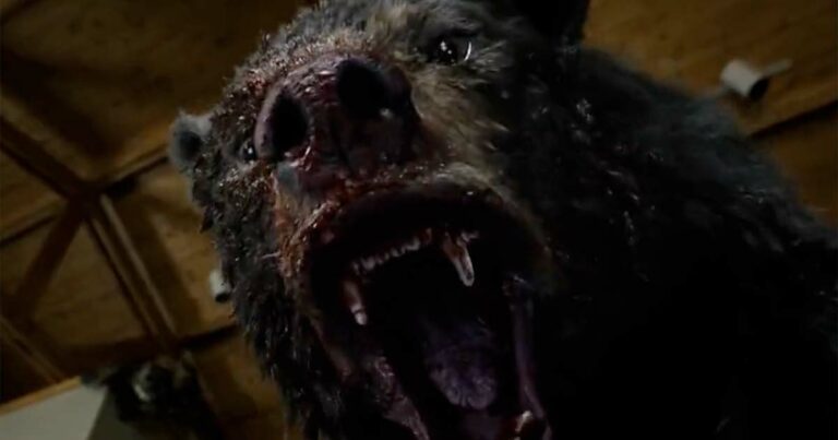 Cocaïne Bear : L'histoire vraie d'un ours accro à la cocaïne - Newsweed