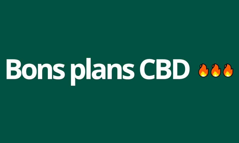 CBD au Conseil d'Etat : vers une autorisation de tous les produits CBD ...