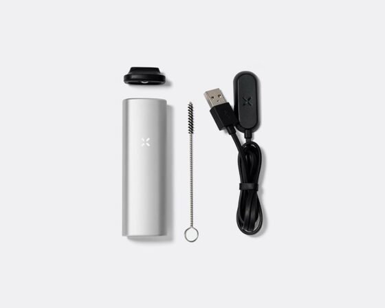 PAX Mini et PAX Plus : la nouvelle gamme PAX est arrivée ! - Newsweed