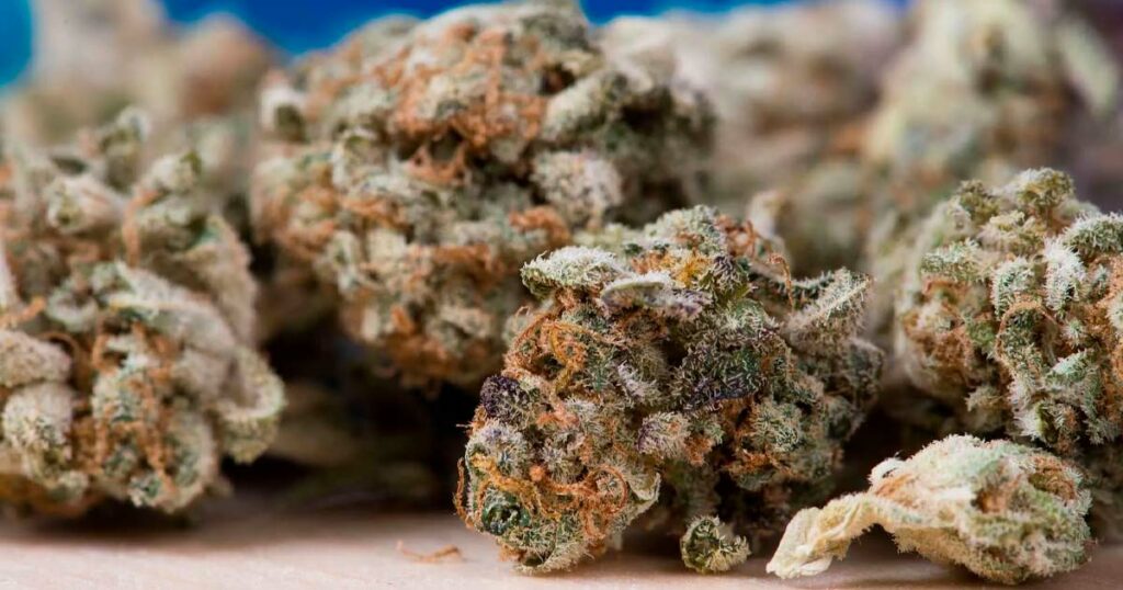 Cannabis Malte Ou Acheter
