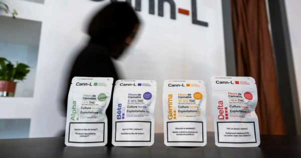 4,5 kg de cannabis vendu légalement en un mois à Lausanne - Newsweed