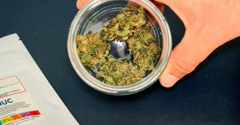 Cannabis Malte Ou Acheter