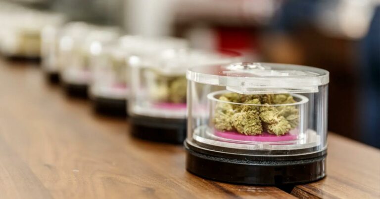 Un premier Cannabis Club autorisé à Berlin - Newsweed