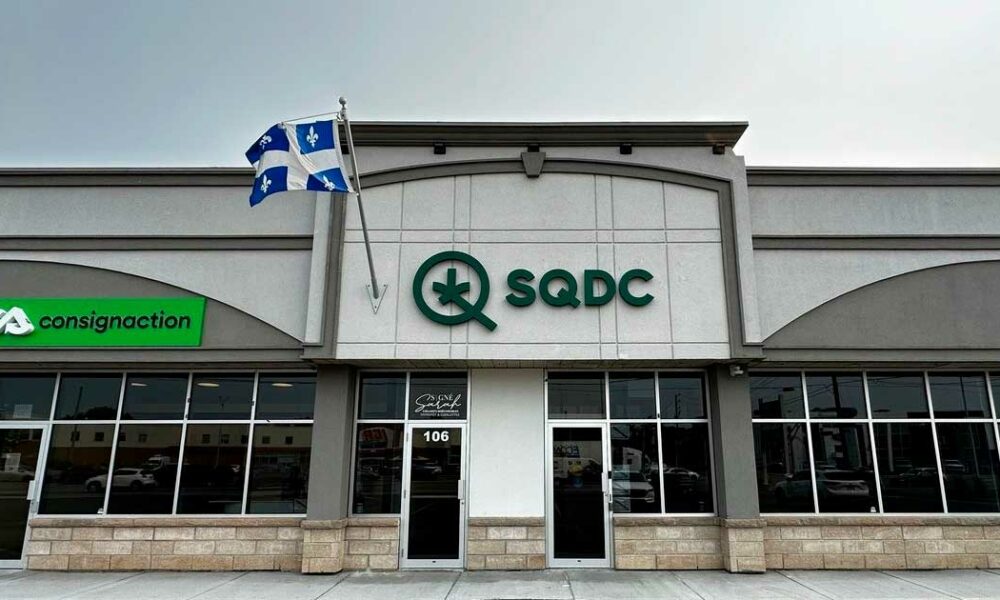 La SQDC commencera à vendre des vape pens fin 2025 - Newsweed