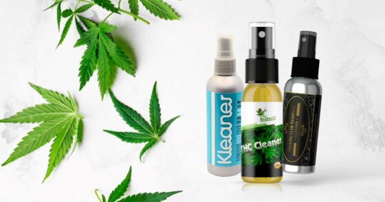 Les 7 meilleurs sprays anti-THC - Newsweed